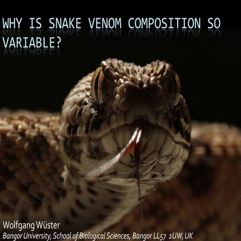 Why is Snake Venom Composition So Variable | PPTX