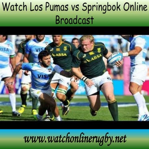 Watch los pumas vs springbok oct | PPTX