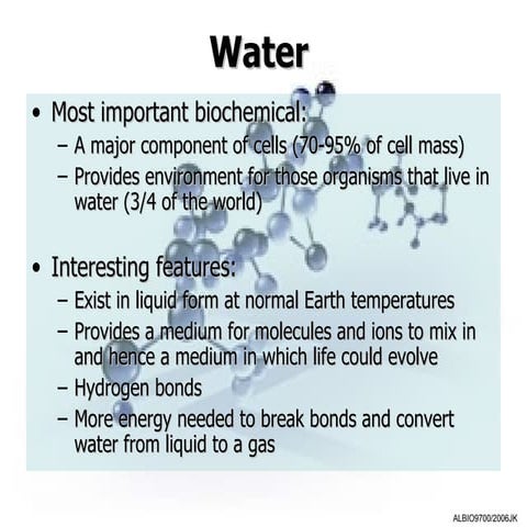 IB Bio SL - Water (A1.1) Questions .pptx