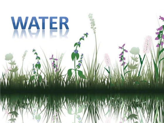 Properties of Water Presentation | PPT