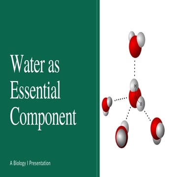 The Crucial Role of Water in Biological Systems and Environmental ...