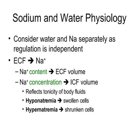 Water And Sodium | PPT