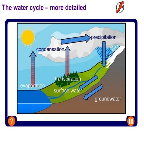 Water Cycle Ppt | PPT