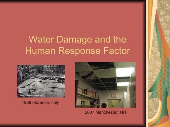 Disaster in libraries | PPT