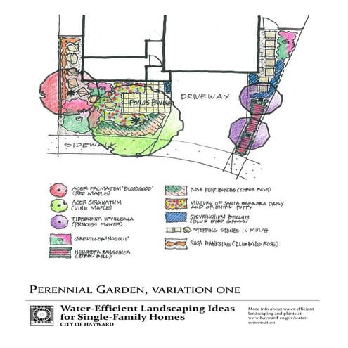 Water Efficient Landscaping Ideas - Hayward, California | PDF