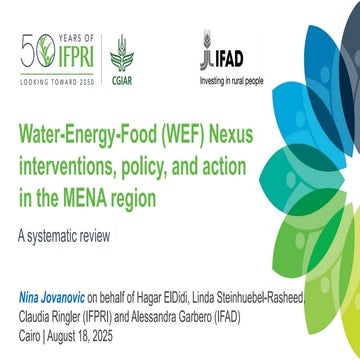 Water-Energy-Food (WEF) Nexus interventions, policy, and action in the ...
