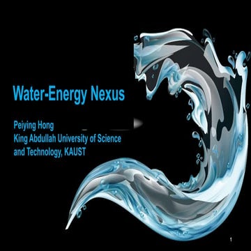 Water-Energy Nexus - Peiying Hong.pdf