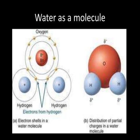 Water notes only | PPTX