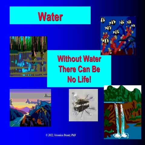 The Properties of WATER | PPT