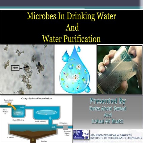 Microbes In Drinking Water And Water Purification | PPT