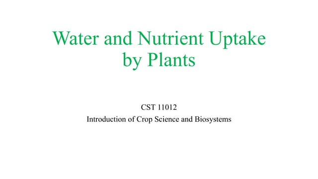 Absorption of water ppt | PPT