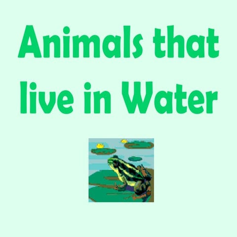 Water And Land Animals With Names