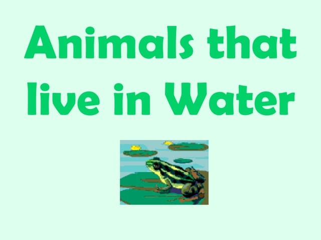 Physical characteristics of animals | PPTX