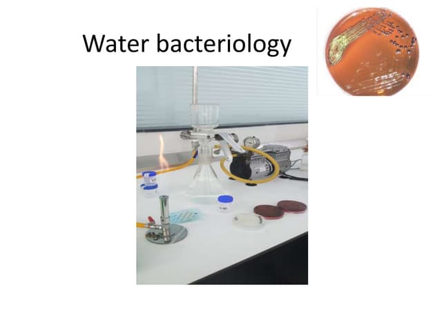 BACTERIOLOGY OF WATER AND ANALYSIS - BASICS | PPTX