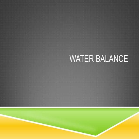 Water balance diagram | PDF