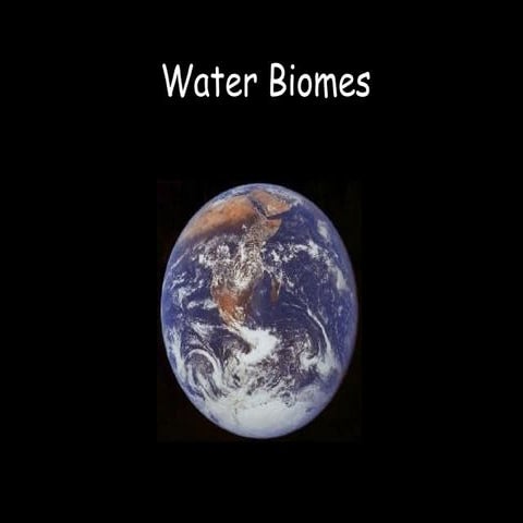 Earth’s Aquatic Biomes with diagrams and images | PDF