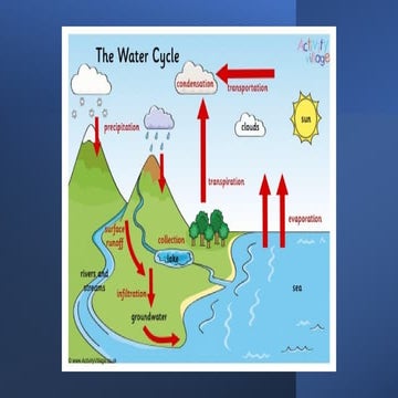 water, carbon and nitrogen cycle.....pptx