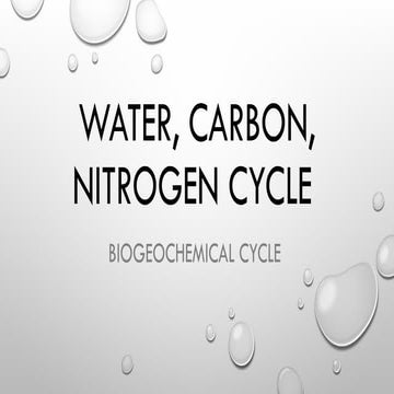 Water And Nitrogen cycle | PPTX