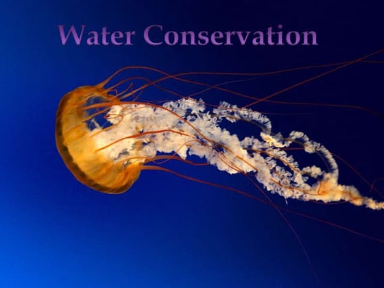 Water Pollution - Conservation.pptx
