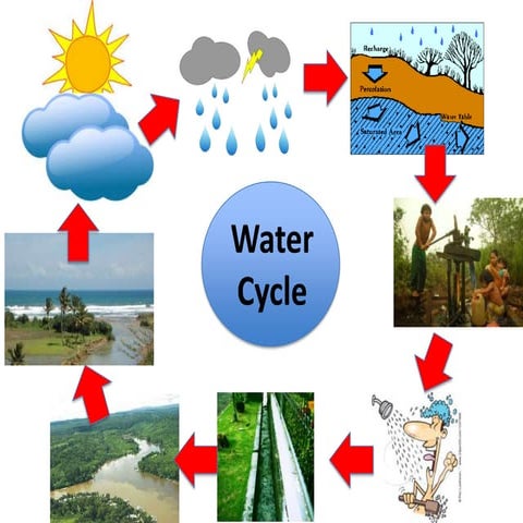 Water cycle | PPTX