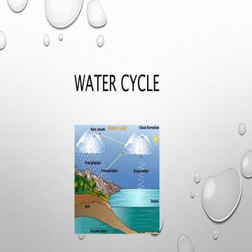 Water cycle | PPTX