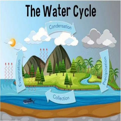 Water_Cycle_Presentation for grade 8.pptx