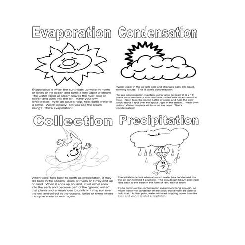 Water cycle definitions | PDF