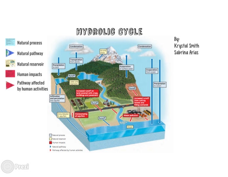 Hydrolic Cycle PERIOD 4