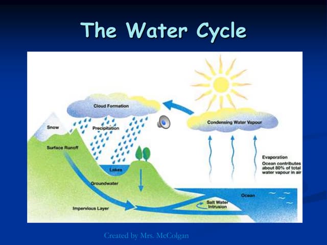 The water cycle | PPTX