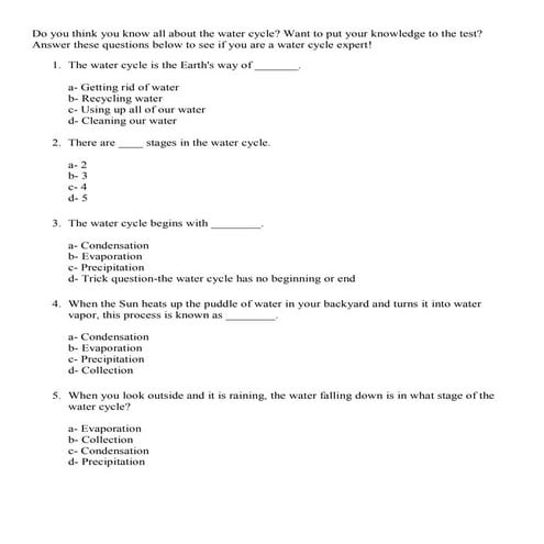 Water cycle test | PDF