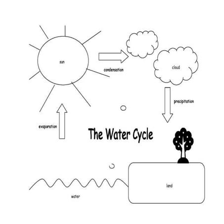 Water cycle worksheet | DOCX