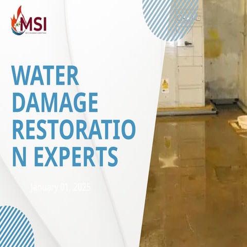 Water damage restoration experts.pptx .. | PPTX