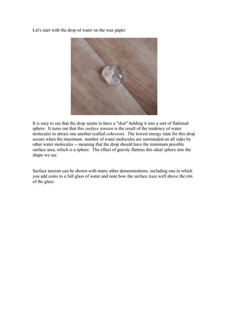 Punnet squares | PPTX