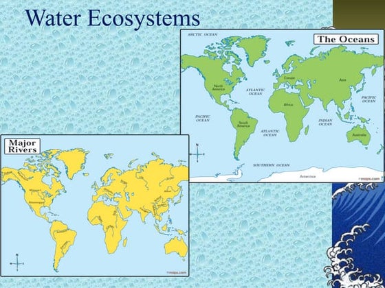 Types of water body : Freshwater body | PDF