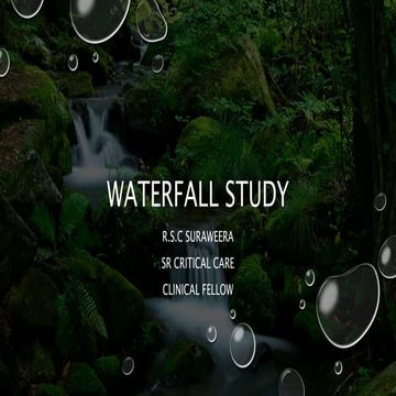 WATERFALL STUDY PowerPoints presentation | PPT