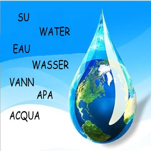 Water features (1) | PPT