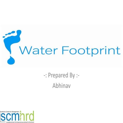 Water footprint | PDF