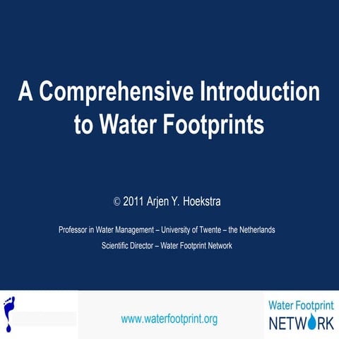 Water Footprint Assignment | PDF