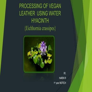WATER HYACINTH PPT includes the process of preparation of leather | PPTX
