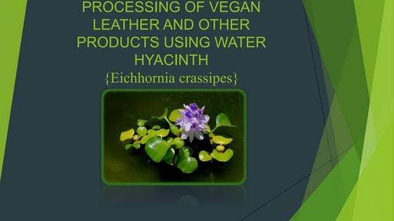 RETTING PROCESS IN JUTE | PPTX