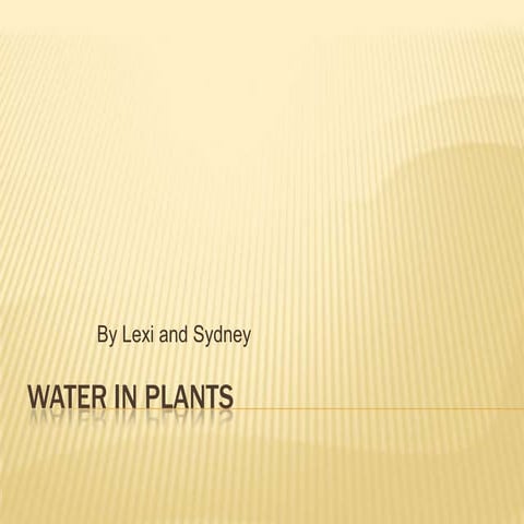 Water in plants | PPTX | Nutrition | Healthy Living