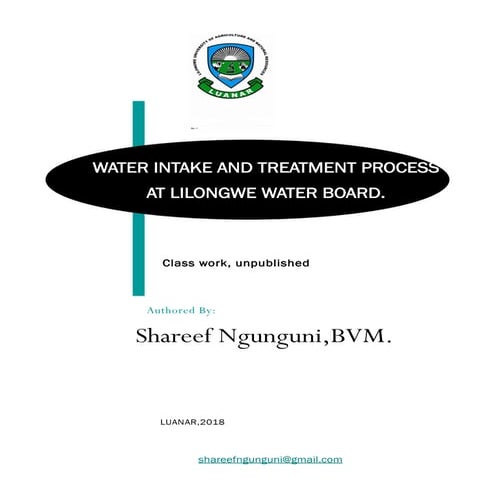 Water intake and treatment process at lilongwe water board | PDF