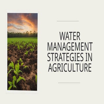 Water Management Strategies in Agriculture | PPTX