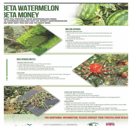 Watermelon: Solutions to Pests and Diseases (Pidgin) | PDF