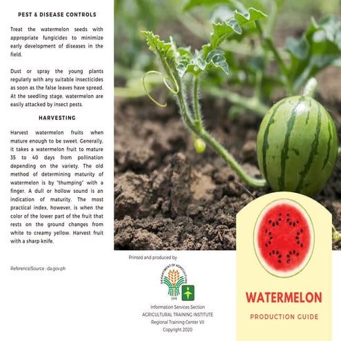 Watermelon Production Guide.pdf bwhahahahaaia | PPT