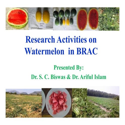 Watermelon Research in BRAC | PPT