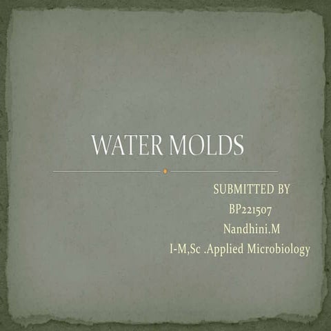 WATER MOLDS BP221507 NANDHINI.pptx | Biological Sciences | Science