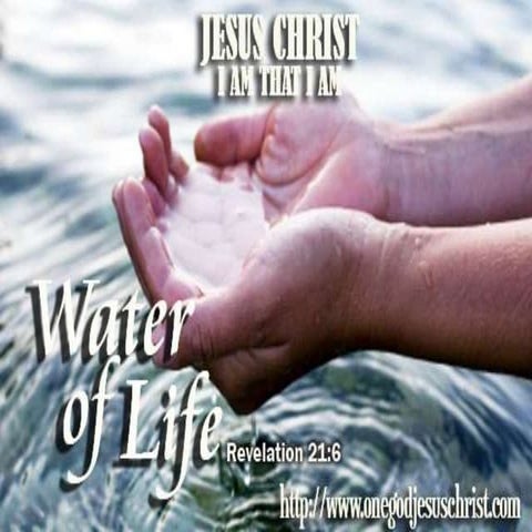 Water of life | PPTX