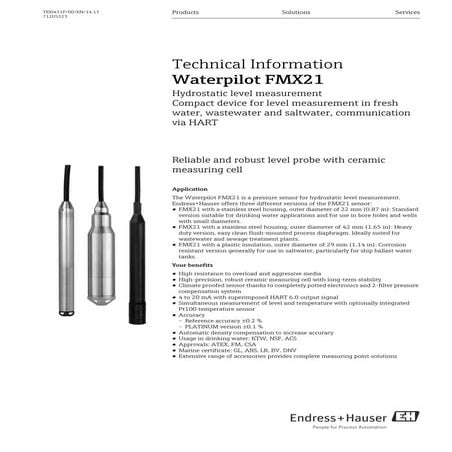 Waterpilot fmx21 endress+hauser datasheet-level transmitter | PDF
