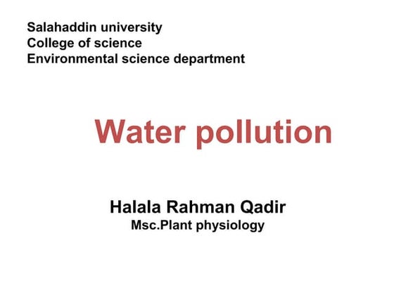 Water Pollution: Causes, Effects, and Prevention. | PPT